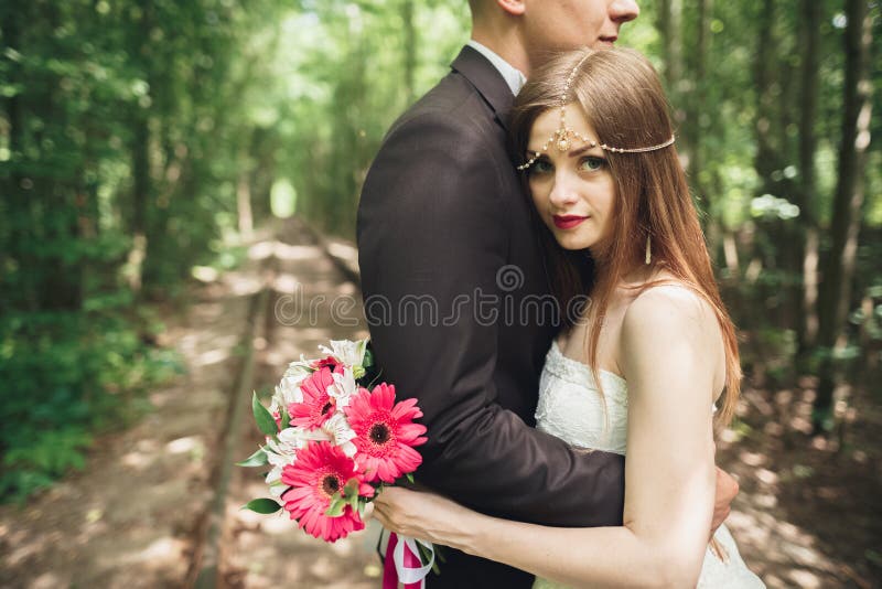 Romantic Newlywed Couple Kissing in Pine Tree Forest Stock Photo ...