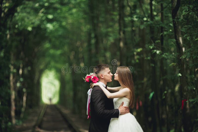 Romantic Newlywed Couple Kissing in Pine Tree Forest Stock Image ...