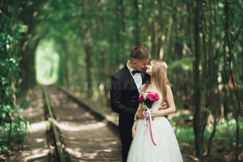 Romantic Newlywed Couple Kissing in Pine Tree Forest Stock Image ...