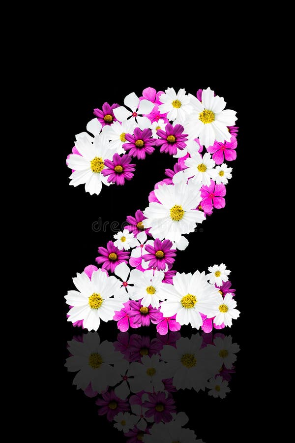 Romantic Number of Beautiful Flowers 2 Stock Photo - Image of branch ...