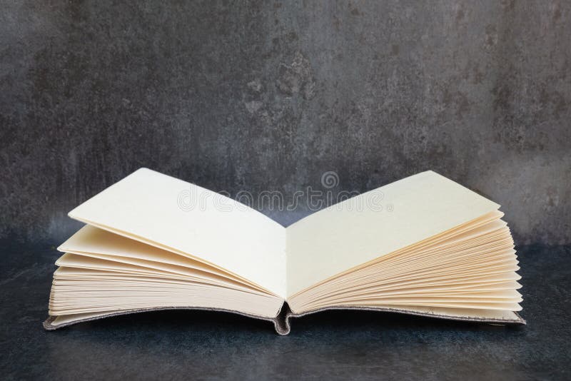 Romantic Old Retro Vintage Open Book with Blank Pages with Copy Space ...