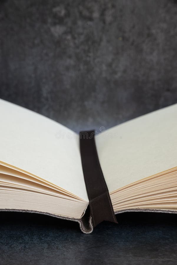 Romantic Old Retro Vintage Open Book with Blank Pages with Copy Space ...