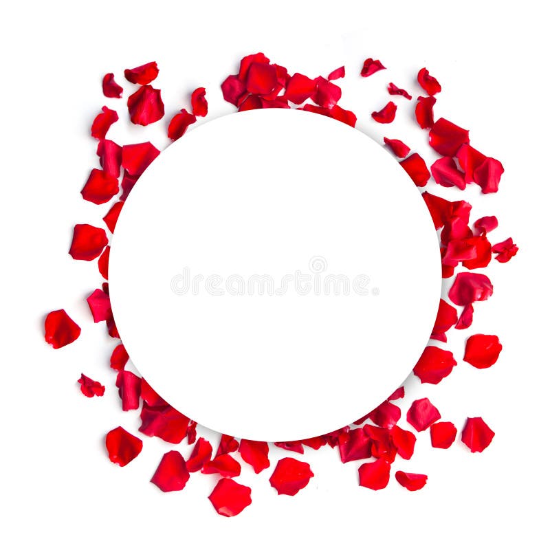 Romantic Red Rose Petals Circle Background Stock Photo - Image of white ...