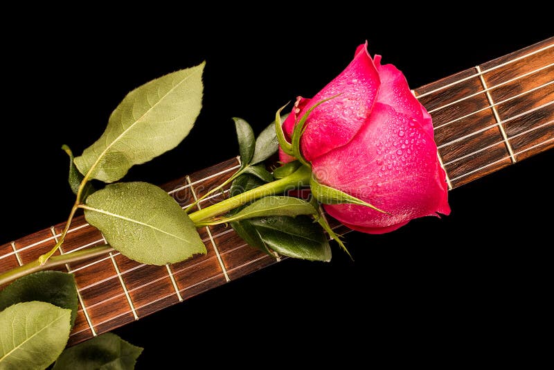 Romantic Red Roses on Guitar, Love Stock Photo - Image of music, wooden ...
