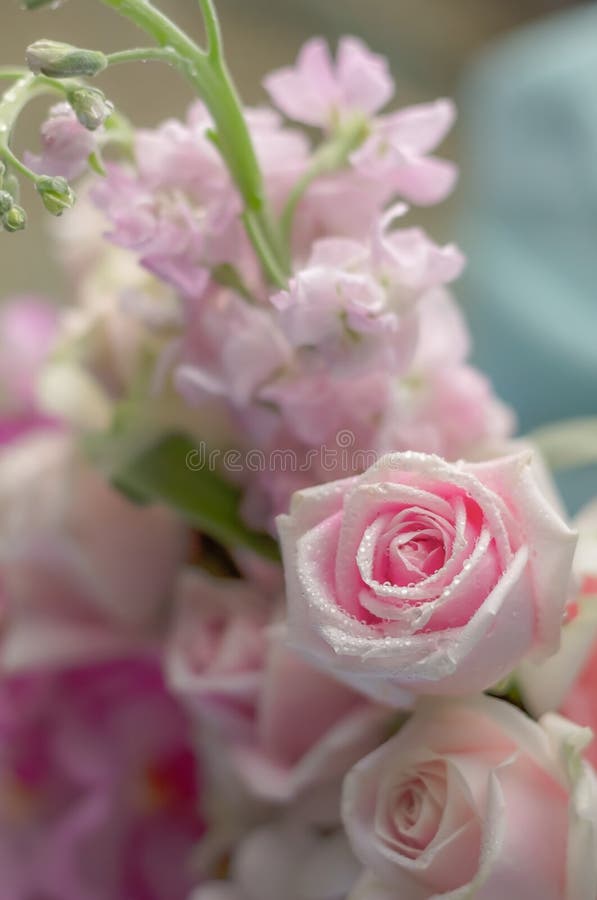 Romantic rose bouquet stock photo. Image of honeymoon - 61973556