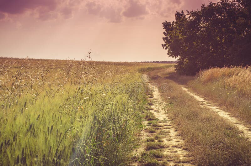Romantic rural path stock image. Image of road, path - 88936483
