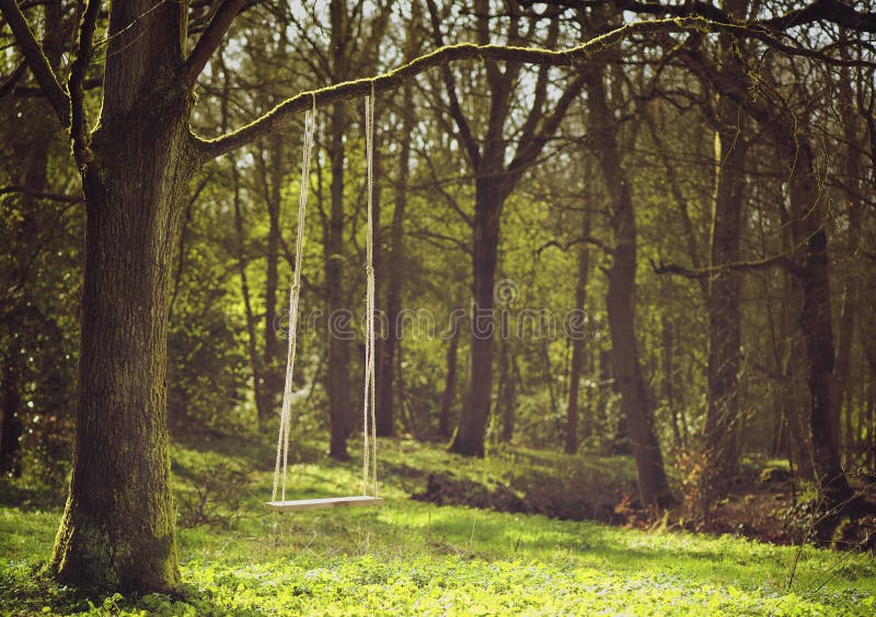 Romantic Scene of a Swing Hanging from Tree Branch Stock Image - Image ...
