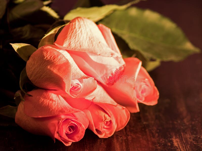 Bunch of Pink Roses on Date Night Stock Image - Image of wine, romance ...