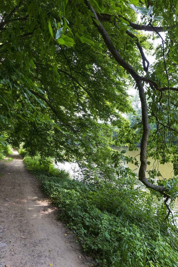 Romantic Solitude Path with Old Big Trees about River Sazava in Central ...