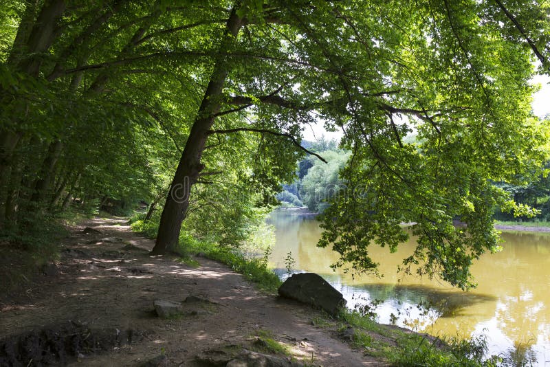 Romantic Solitude Path with Old Big Trees about River Sazava in Central ...