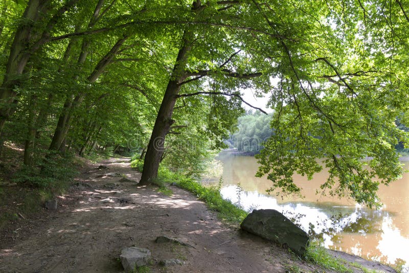 Romantic Solitude Path with Old Big Trees about River Sazava in Central ...