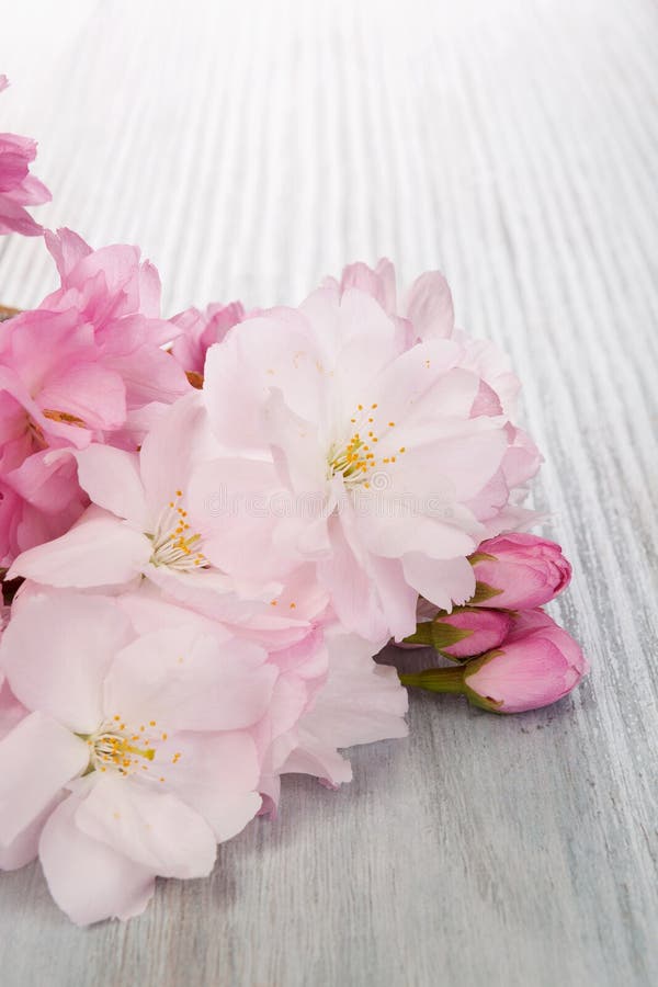 Romantic Spring Background. Stock Image - Image of border, romantic ...