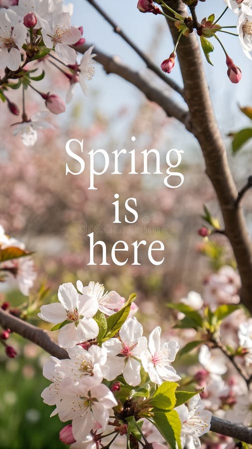 A Romantic Spring-themed Image Featuring Blooming Petals and the Phrase ...
