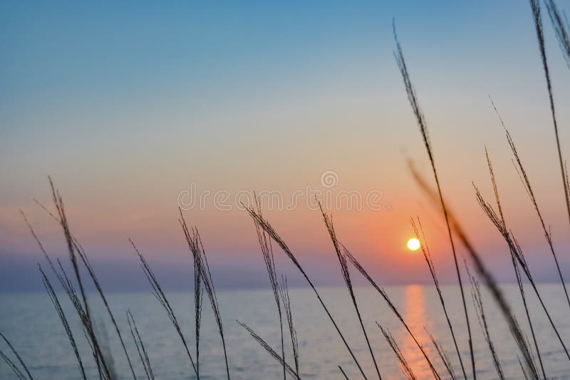 Romantic Sunset or Sunrise on the Sea, Sun Path, Reflection Stock Photo ...
