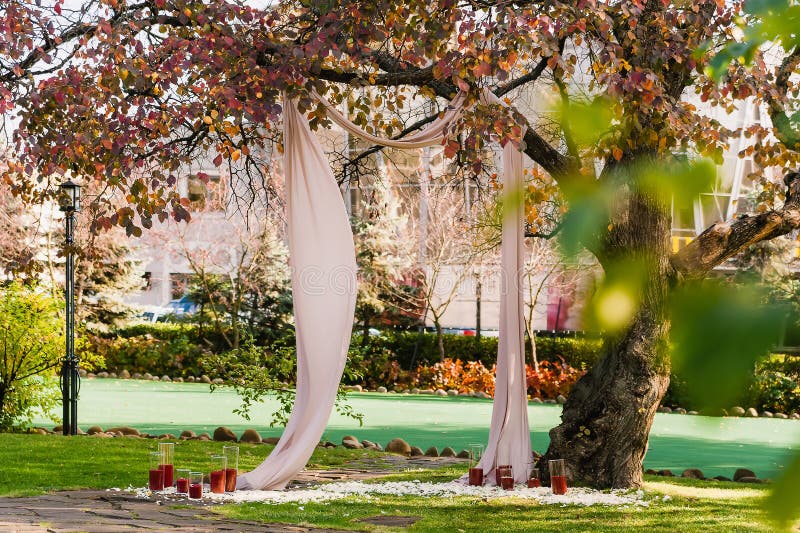 Romantic Tree Served for Couple in Elegant Style Stock Image - Image of ...