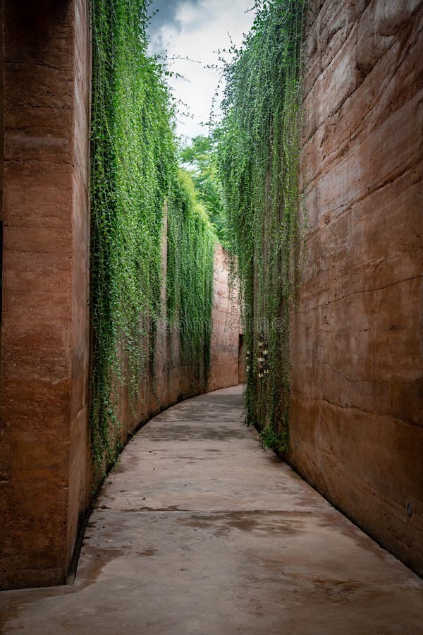 Romantic Tunnel of Autumnal Hedges Stock Photo - Image of park, antrim ...