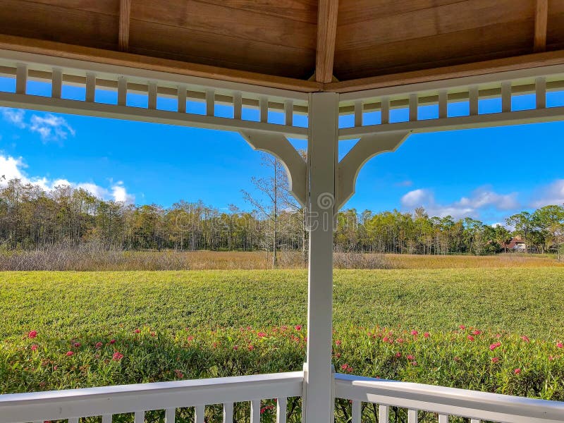 Romantic veranda and swamp stock image. Image of bluebird - 107041595