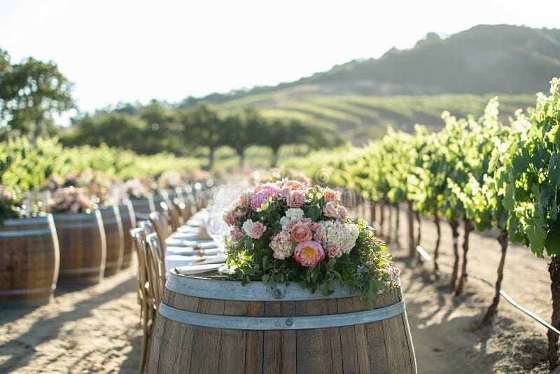 Romantic Vineyard with Floral Decor and Rustic Tables, Ideal Wedding ...