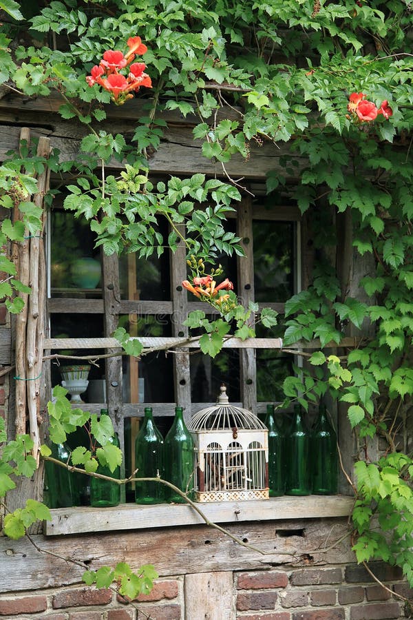 Romantic window stock photo. Image of radicans, farmhouse - 12231440
