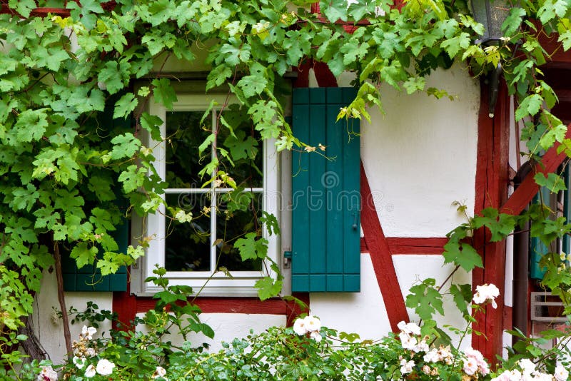 Romantic window stock photo. Image of radicans, farmhouse - 12231440