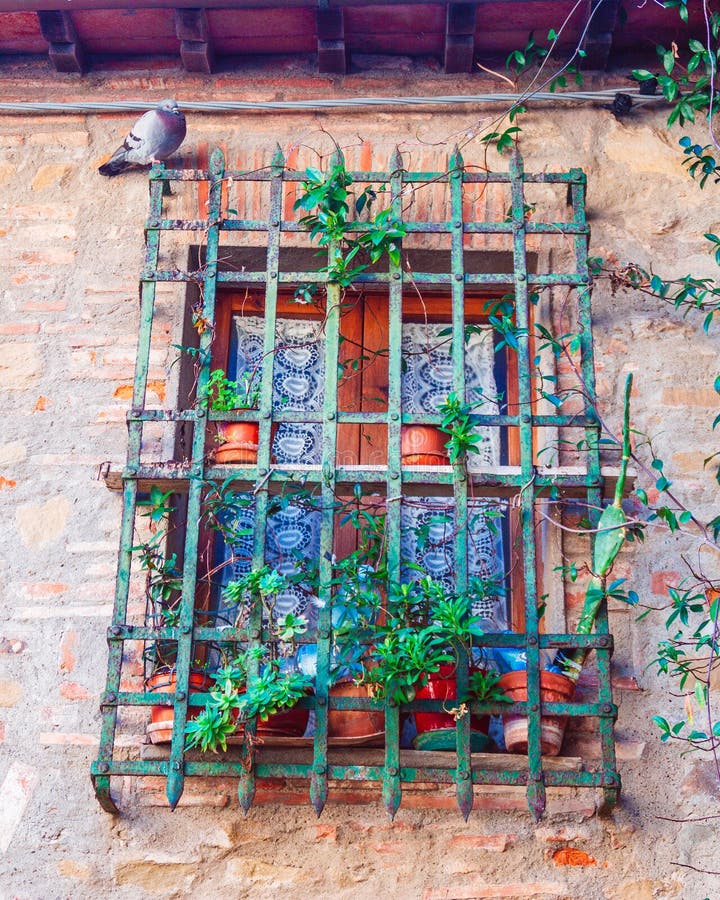Romantic window stock photo. Image of radicans, farmhouse - 12231440