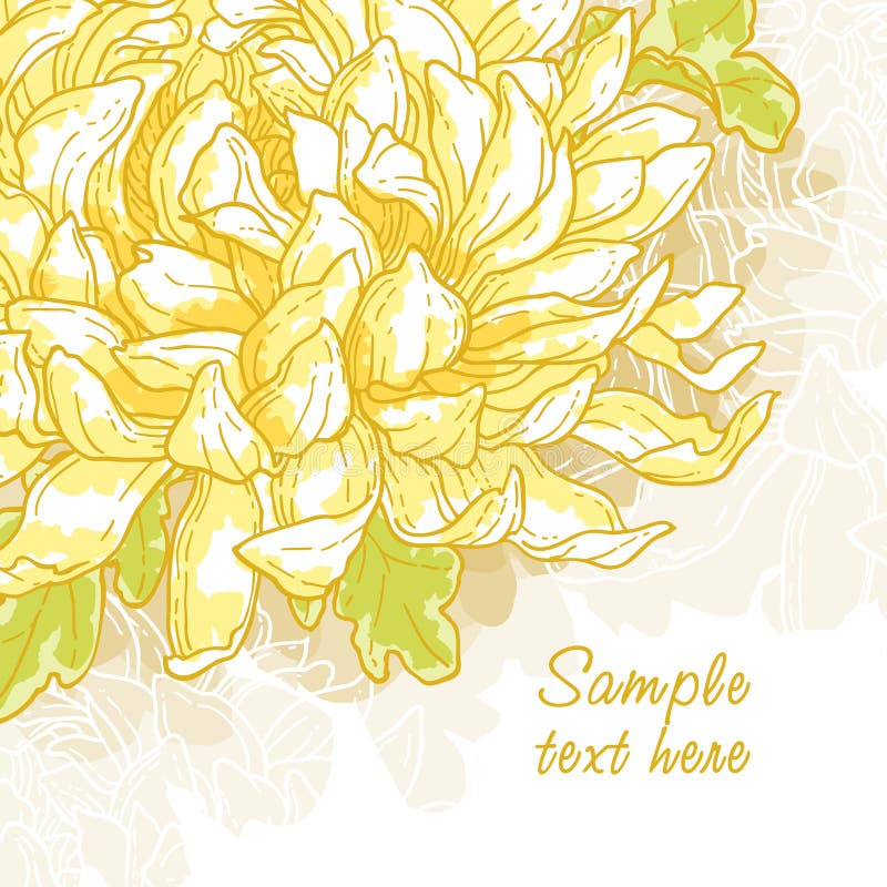 Romantische Achtergrond Met Chrysant Vector Illustratie - Illustration ...