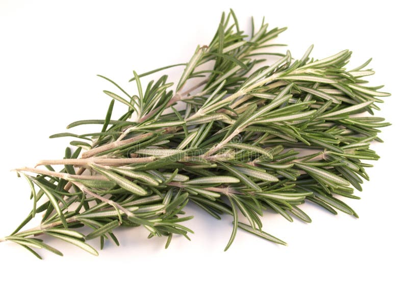Romarin photo stock. Image of saveur, organique, romarin - 7862530