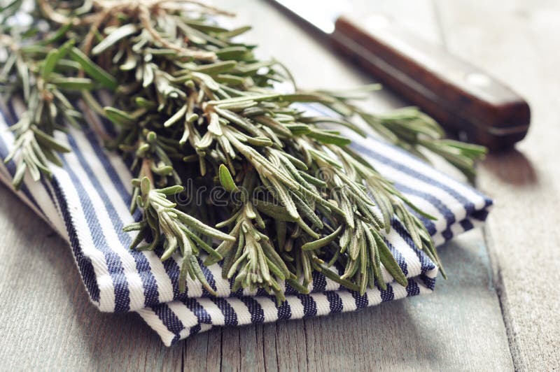 Romarin et thym frais image stock. Image du normal, ingrédient - 33955237