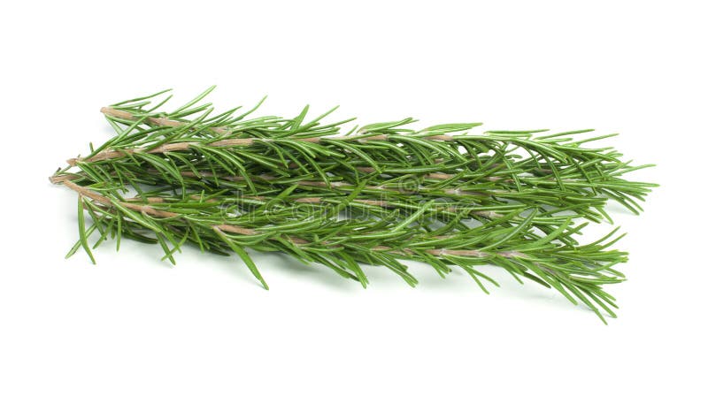 Romarin frais photo stock. Image du arome, nourriture - 12993634