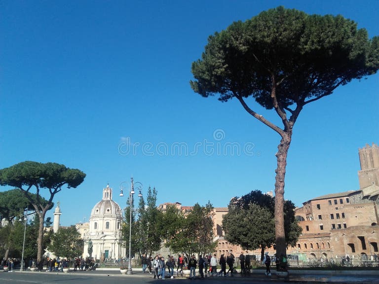 Rome stock image. Image of church, city, tree, sunny - 135703923