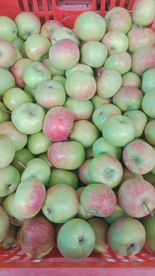 Rome Beauty Apples Typical of Malang, Indonesia? Stock Photo - Image of ...