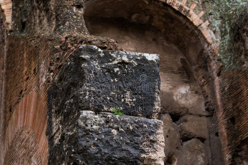 Rome, Italy - 09.12 editorial image. Image of aged, city - 376576145
