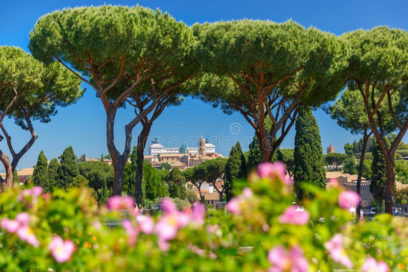 Paysage Avec Des Arbres De Ville Rome Photo stock - Image du passé ...