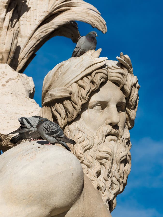 Pigeons problem in Rome stock photo. Image of head, health - 259165458