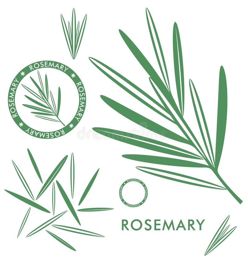 Romero Ilustraciones Stock, Vectores, Y Clipart – (17,408 Ilustraciones ...