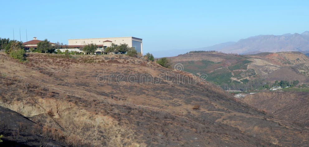 Ronald Reagan Library after Wildfire Stock Photo - Image of bloom, bell ...