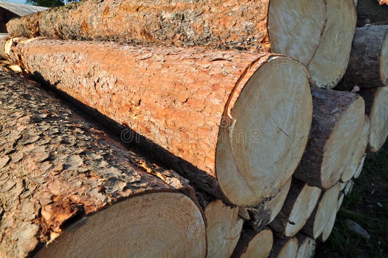 Rondins de notation image stock. Image du écorce, rugueux - 83007517