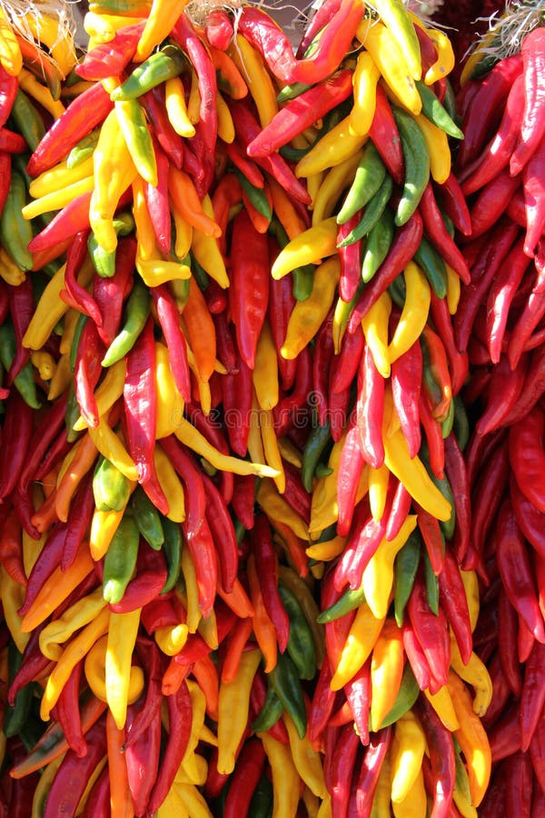 Rood Geelgroen Chili Pepper Ristras Hanging Stock Foto - Image of kruid ...