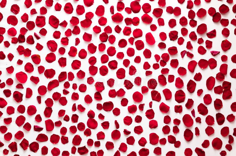 Rood Nam Bloemblaadjesachtergrond, Patroon Toe Stock Foto - Image of ...