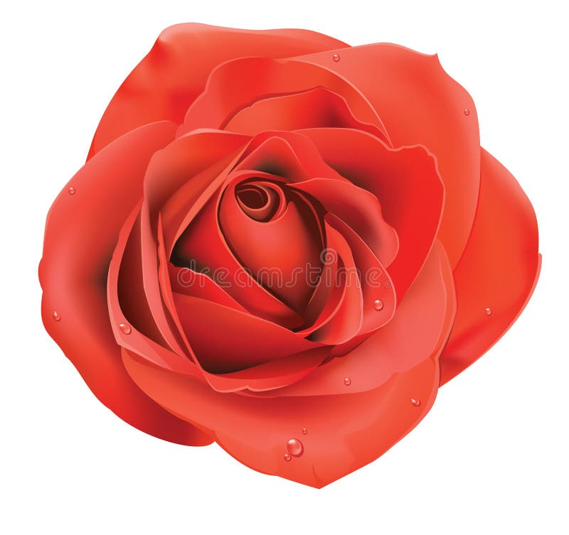 Rood nam toe stock illustratie. Illustration of kleur - 36381295