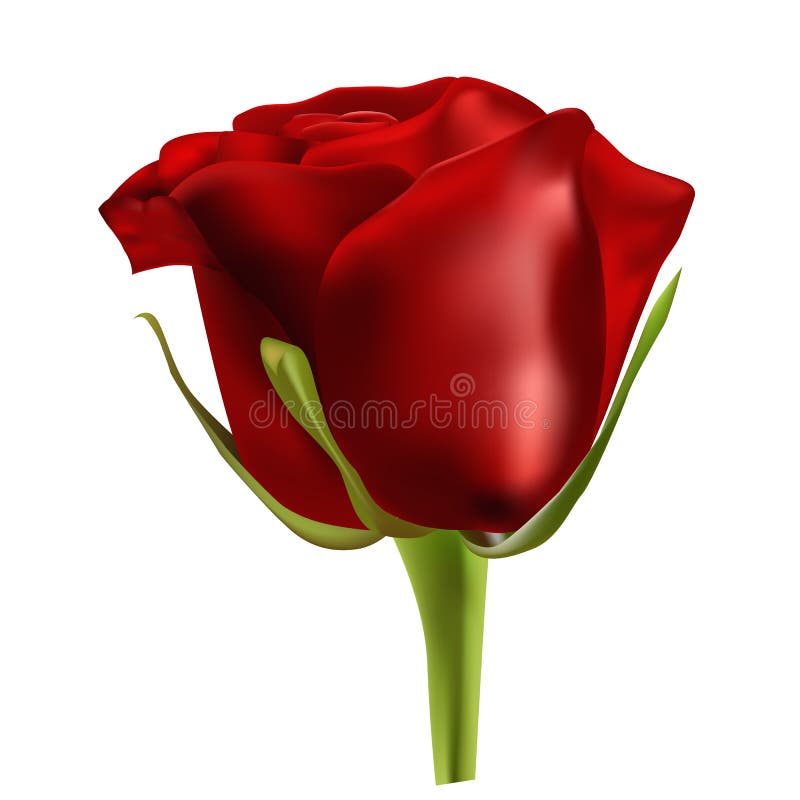 Rood nam toe vector illustratie. Illustration of traditioneel - 64670817