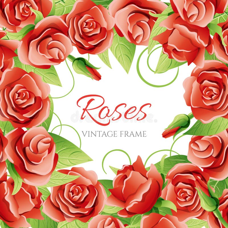 Rood Nam Vectorillustratiekader Toe Vector Illustratie - Illustration ...