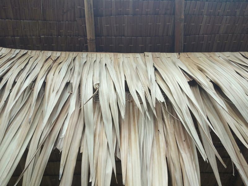 The Roof of a Building is Made of Dry Coconut Leaves Stock Image ...