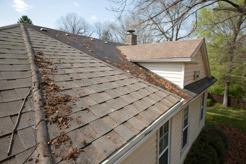 Before and after Roof Cleaning on a House Stock Illustration ...