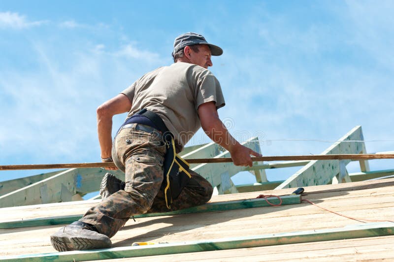 Hispanic Carpenter Lifting Roofing Panels Onto Roof Stock Image - Image ...