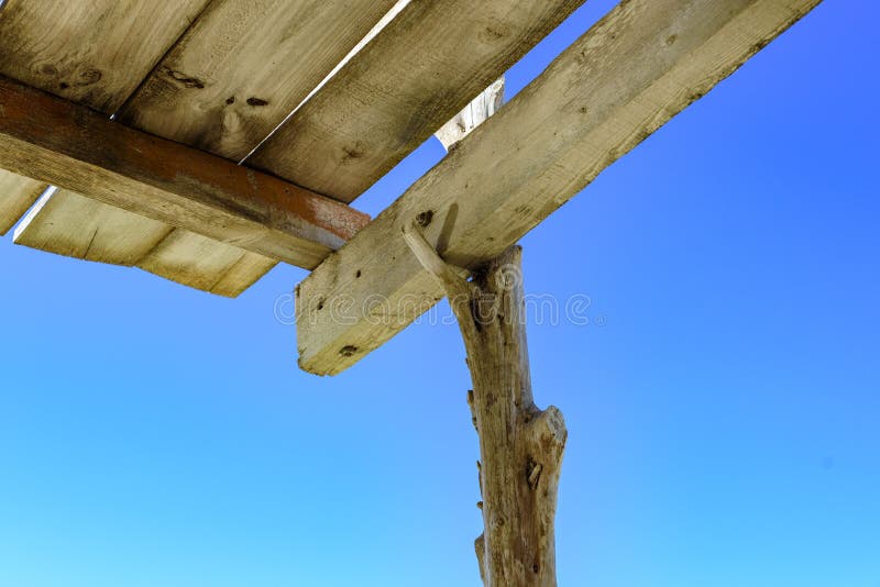 Roof Covered with White Cane Stock Image - Image of house, built: 206508749