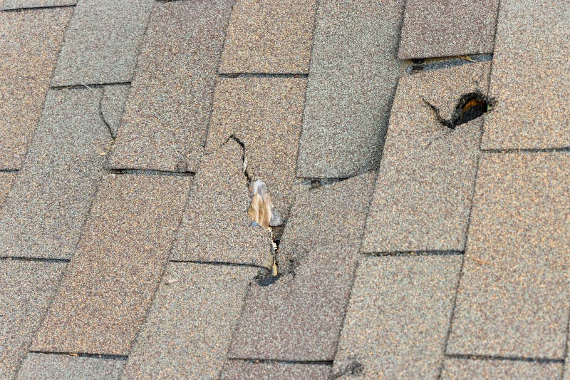 Roof Damage from Tree Falling Stock Image - Image of fallen, paper ...