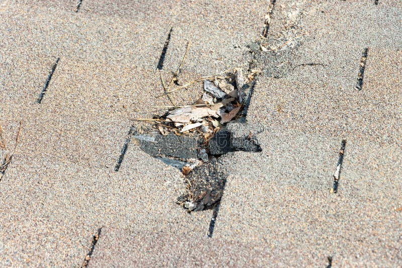 Roof Damage from Tree Falling Stock Photo - Image of repair, service ...