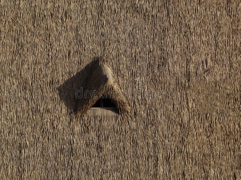 Mayan Style Architecture and Exterior Design Stock Photo - Image of ...