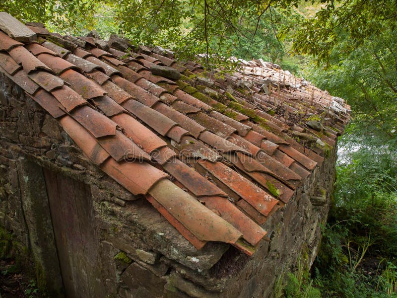 Roof detail stock photo. Image of green, ruin, forest - 43086934